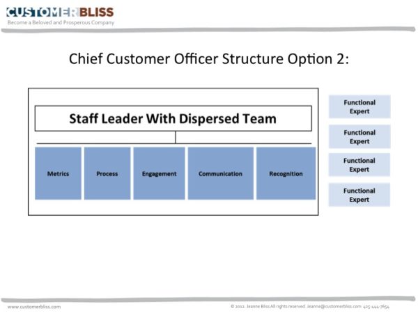 CCO Structure & Team - Option 2: Staff Leader with Dispersed Team ...