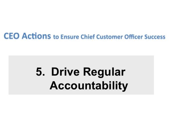 5. CEOs Should Drive Regular Accountability for Customers and Customer ...