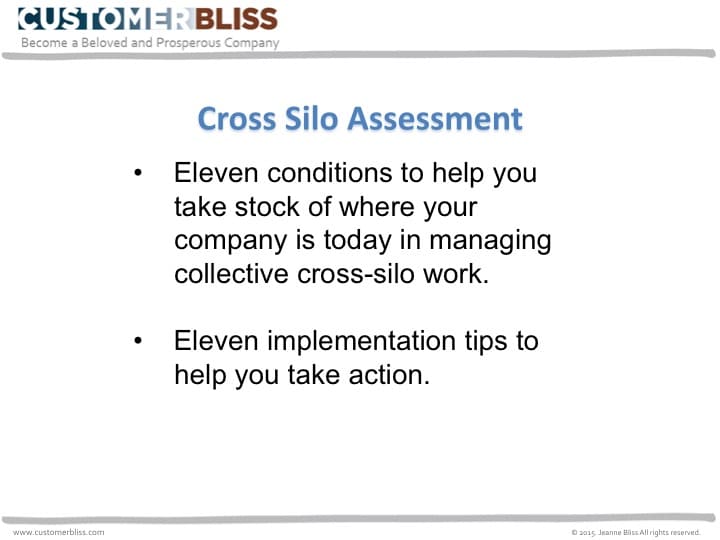 Take the Cross Silo Assessment and Get 11 Implementation Tips ...