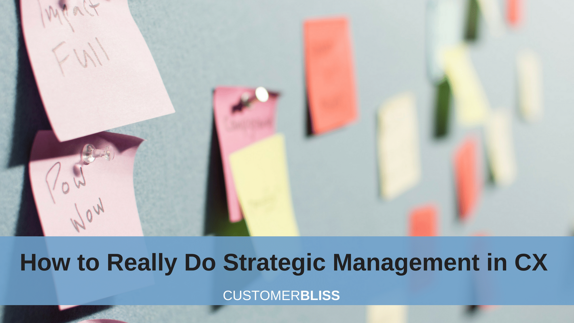 How to really do strategic management in CX - Customer Bliss
